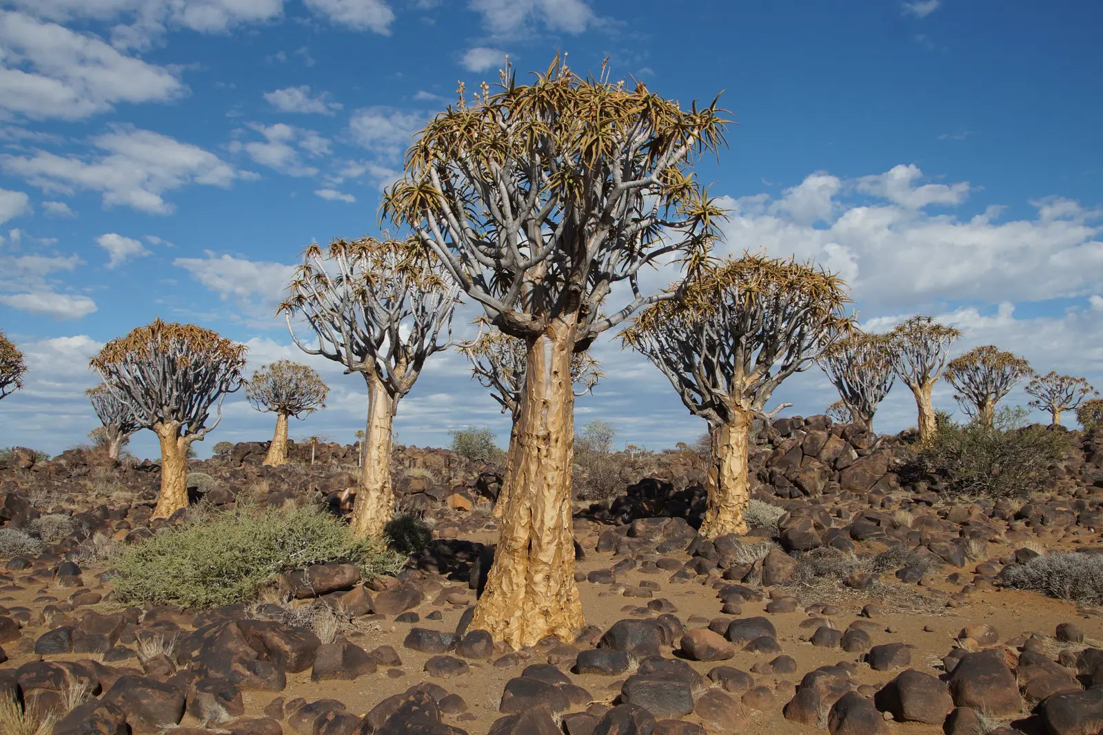 Namibia Reise, Rundreise und Sehenswürdigkeiten