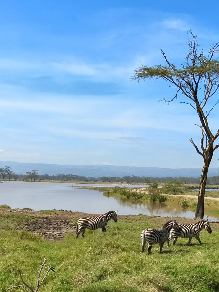 Namibia Reise, Rundreise und Sehenswürdigkeiten