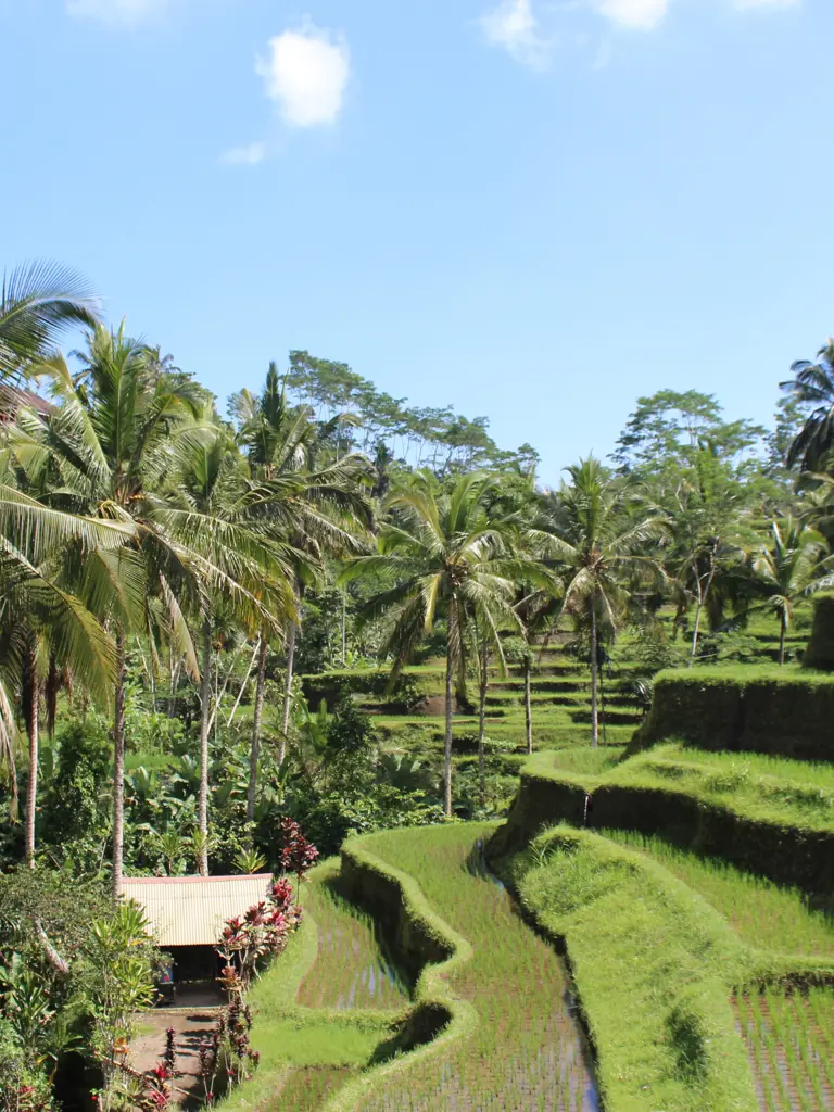 Indonesien Reise, Rundreise und Sehenswürdigkeiten